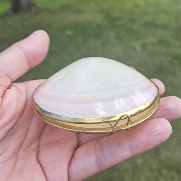 Vintage | Accessories | Vintage Polished Clam Shell Trinket Box With ...
